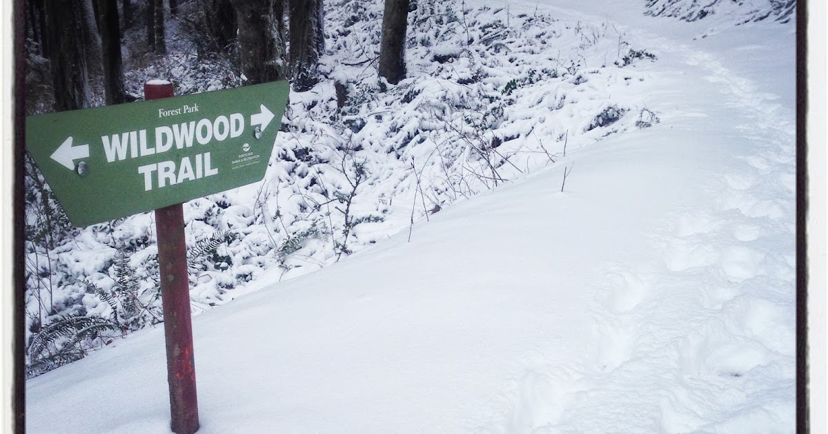 10 miles in the snow