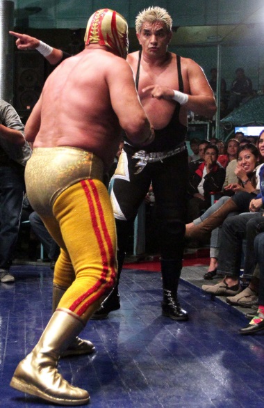 ¿QUIEN ES QUIEN? LUCHA LIBRE: 2016