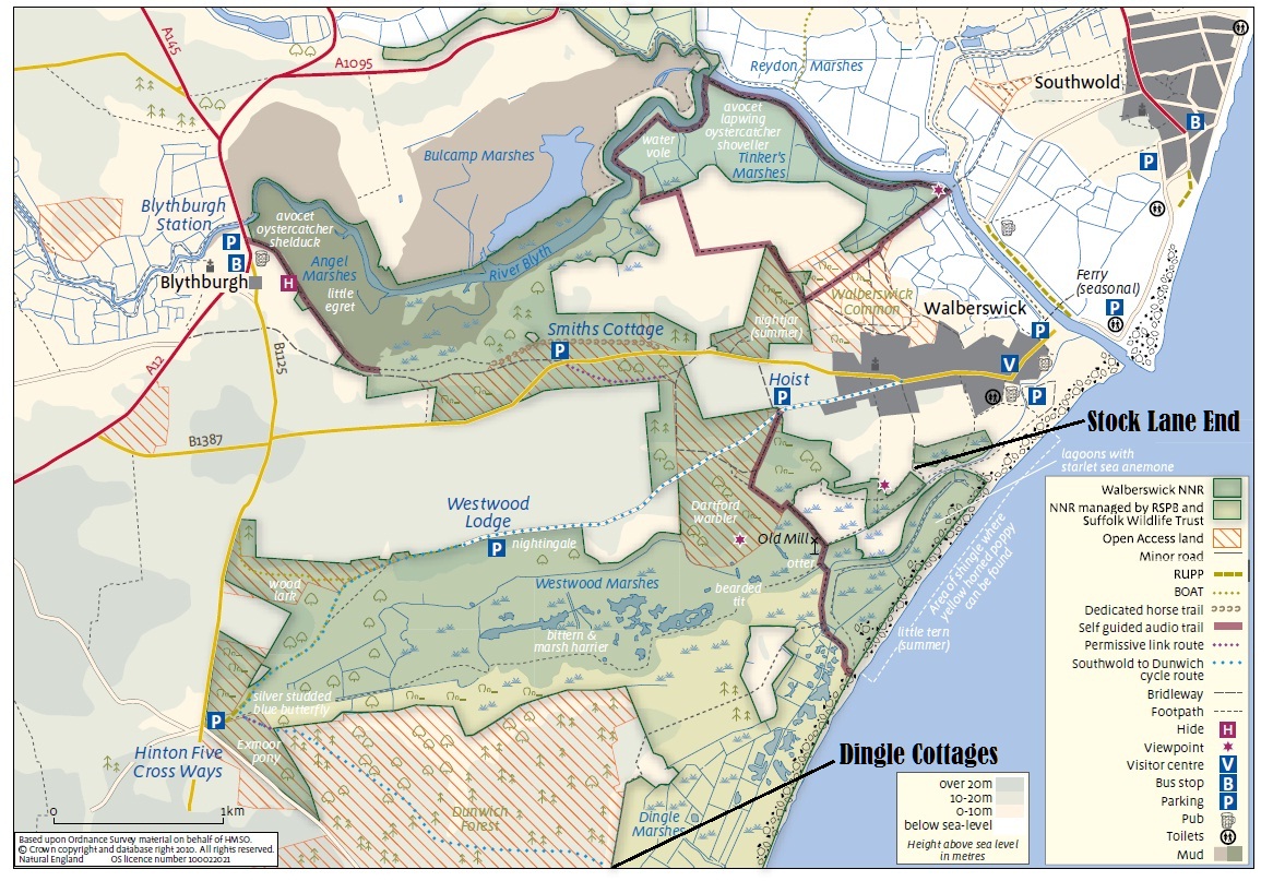 RadWagon: Cycling in Walberswick Nature Reserve