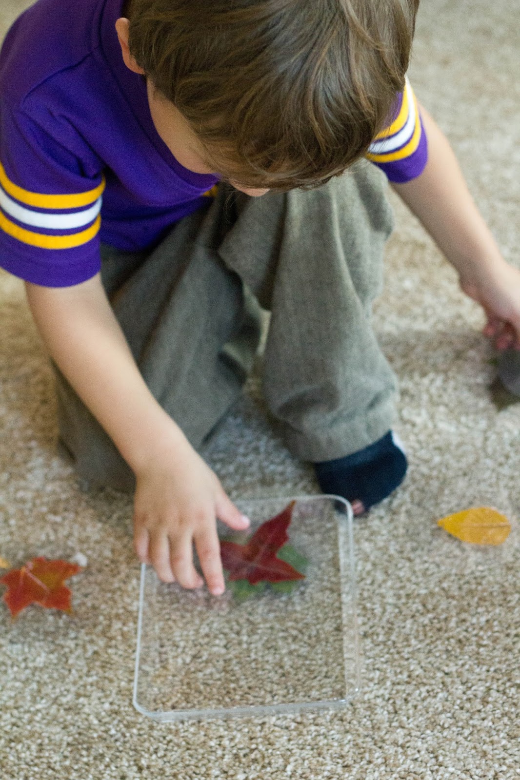 Laminated Rainbow Leaf Sort for Toddlers and Preschoolers | The ...