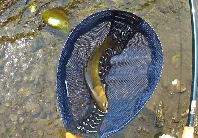 Teton Tenkara: Handy Pak Net Co. Insta-Net -- Review