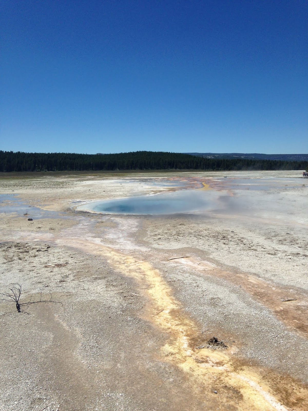 Grand Loop Road of Yellowstone National Park