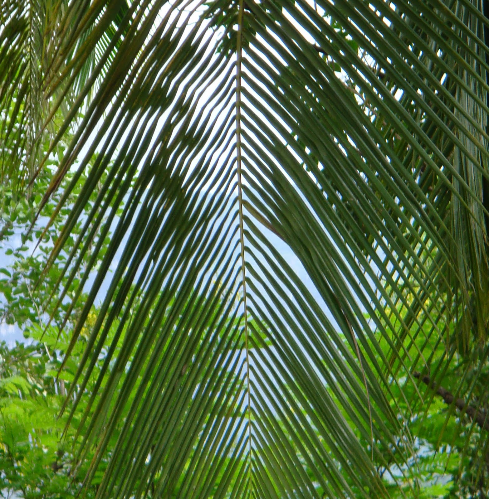 Awakening The aesthetic awareness