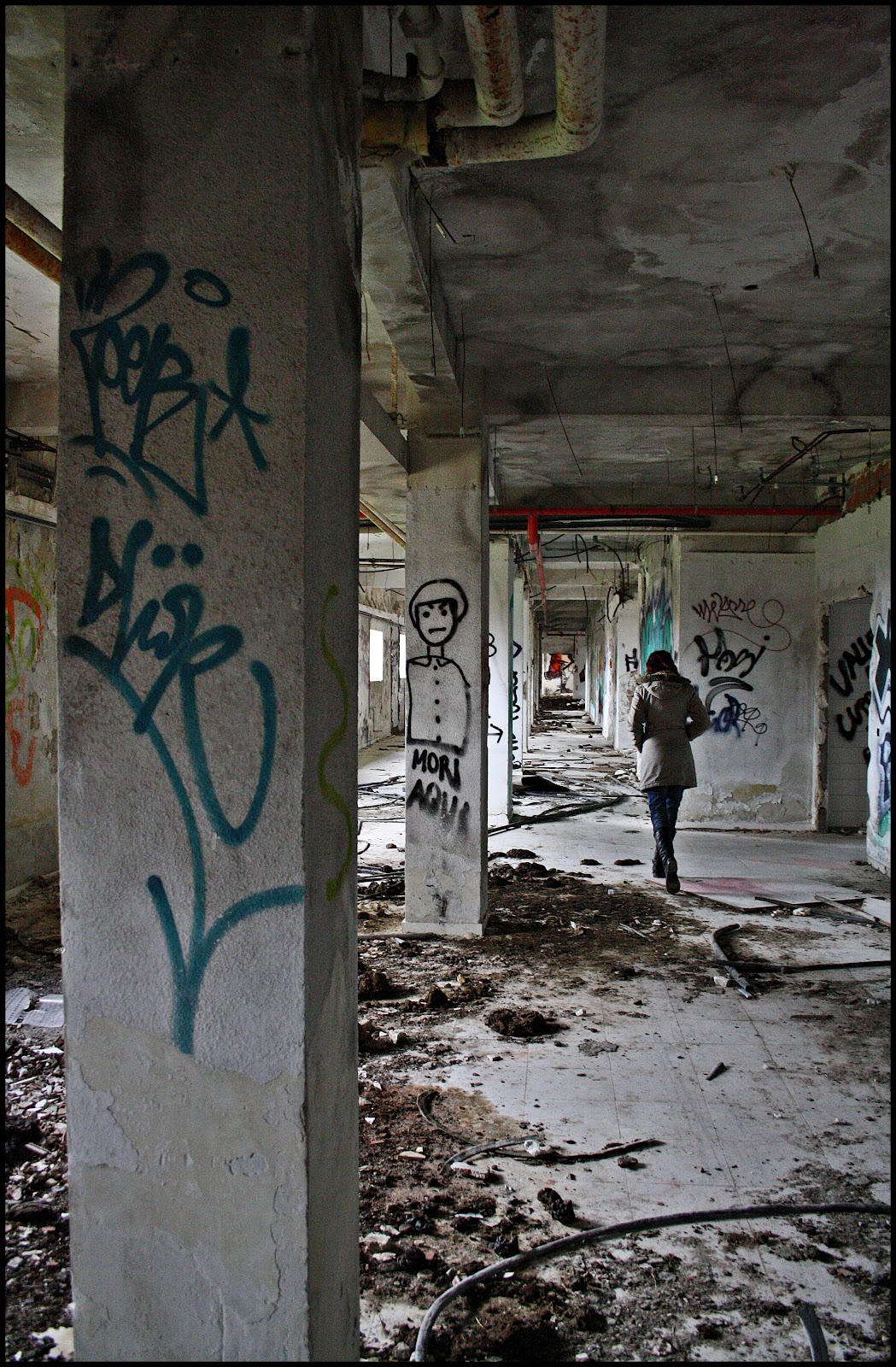 Pájaros en la cabeza: Cosas de locos