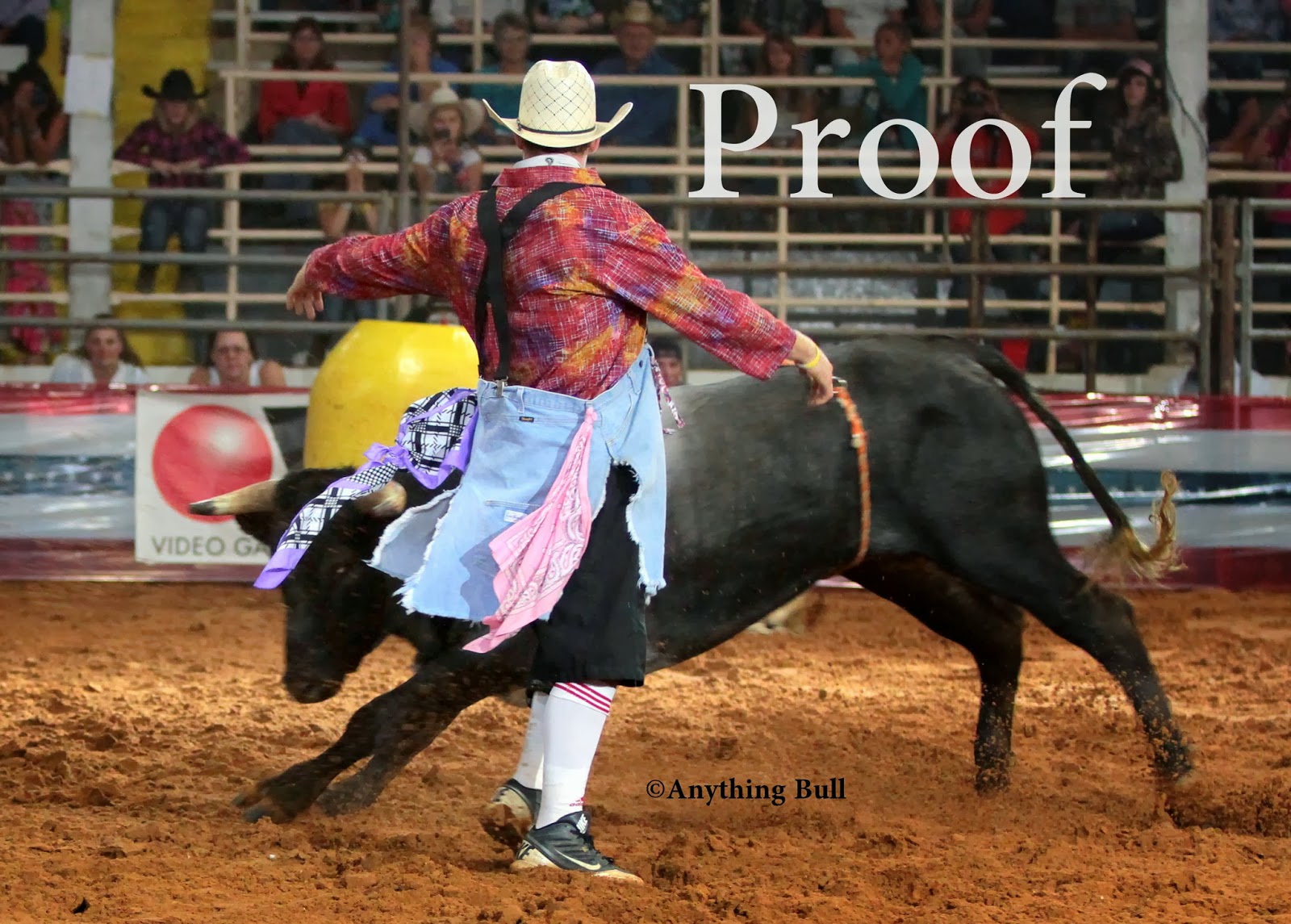 Anything Bull or Rusty: Chuck Swisher-2nd steer Friday night