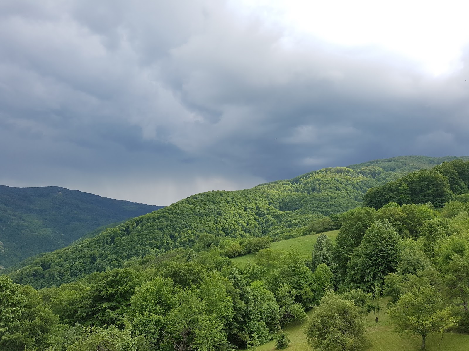 Čudesni svet gljiva na planini Kukavici: Planina Kukavica i kanjon reke ...