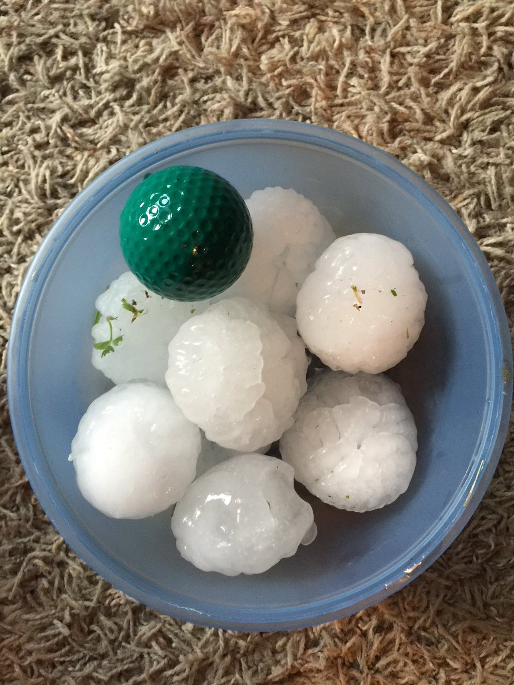 Hail damage prevention - MX-5 Miata Forum