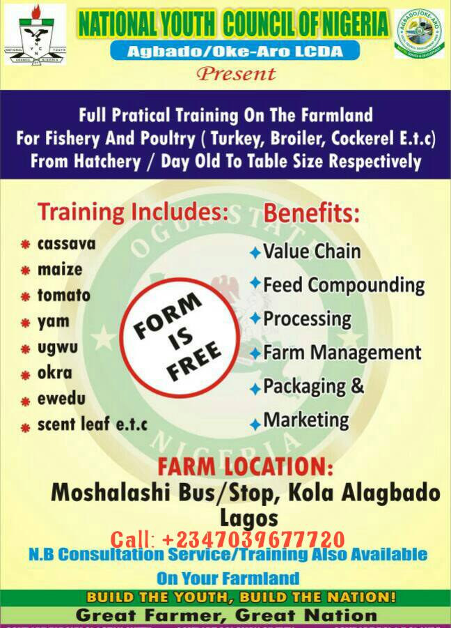 AGRIC PRACTICAL TRAINING ~ Agrotrending Hub