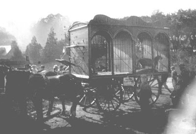 Victorian Entertainment: There Will Be Fun: Victorian Zoos