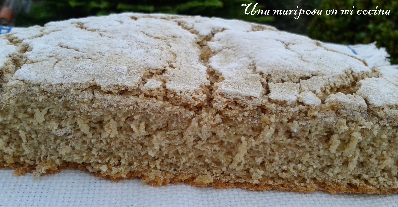 Una mariposa en mi cocina: Pan de millo