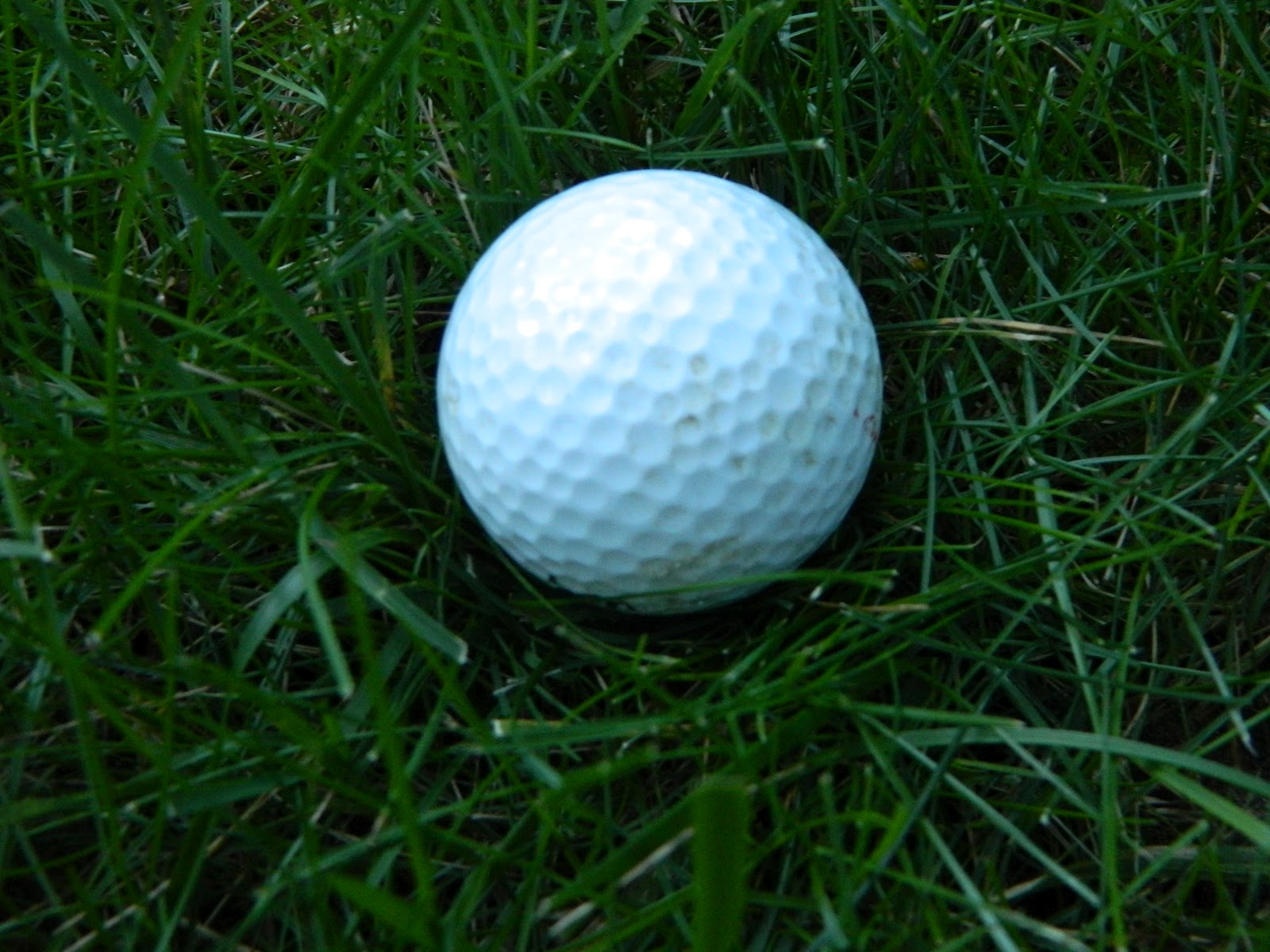 MN Photography: Composition Guidelines