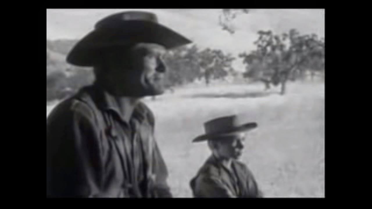 Rotten Reelz Reviews: Wild West TV Week: The Rifleman