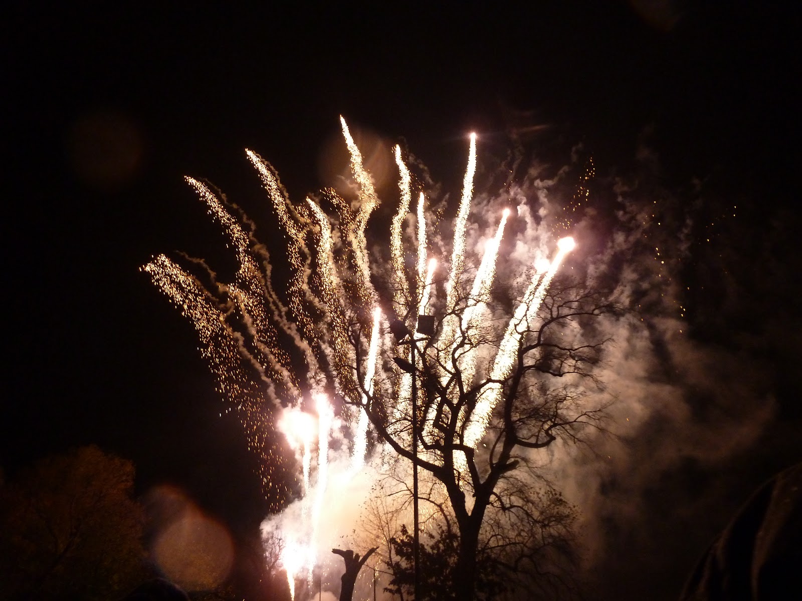 Pink Leprechaun: November 2012