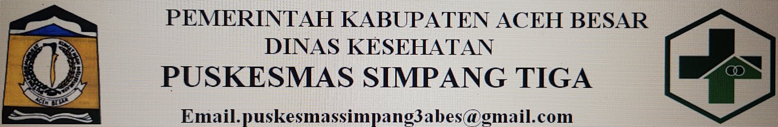 Struktur ~ Puskesmas Simpang Tiga Aceh Besar