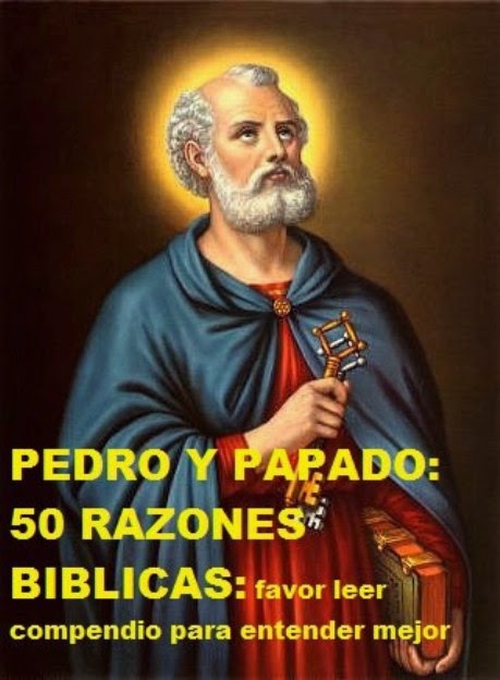 Articulos De Apologética Catolica Primacía De Pedro Y Papado 50