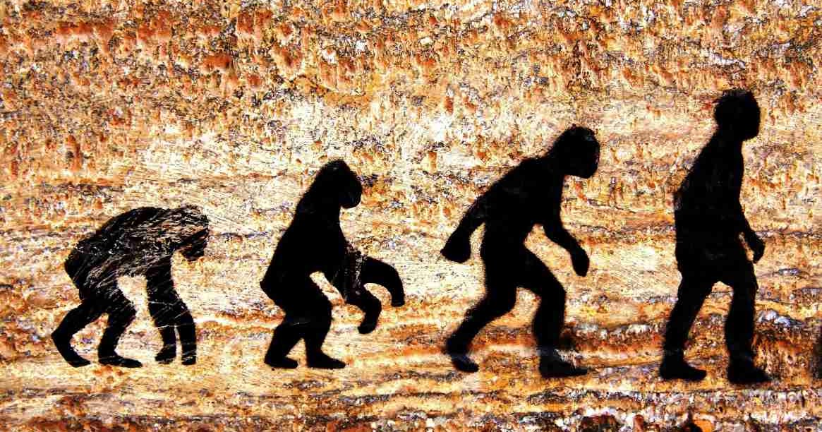 Las evidencias de la evolución - Biología