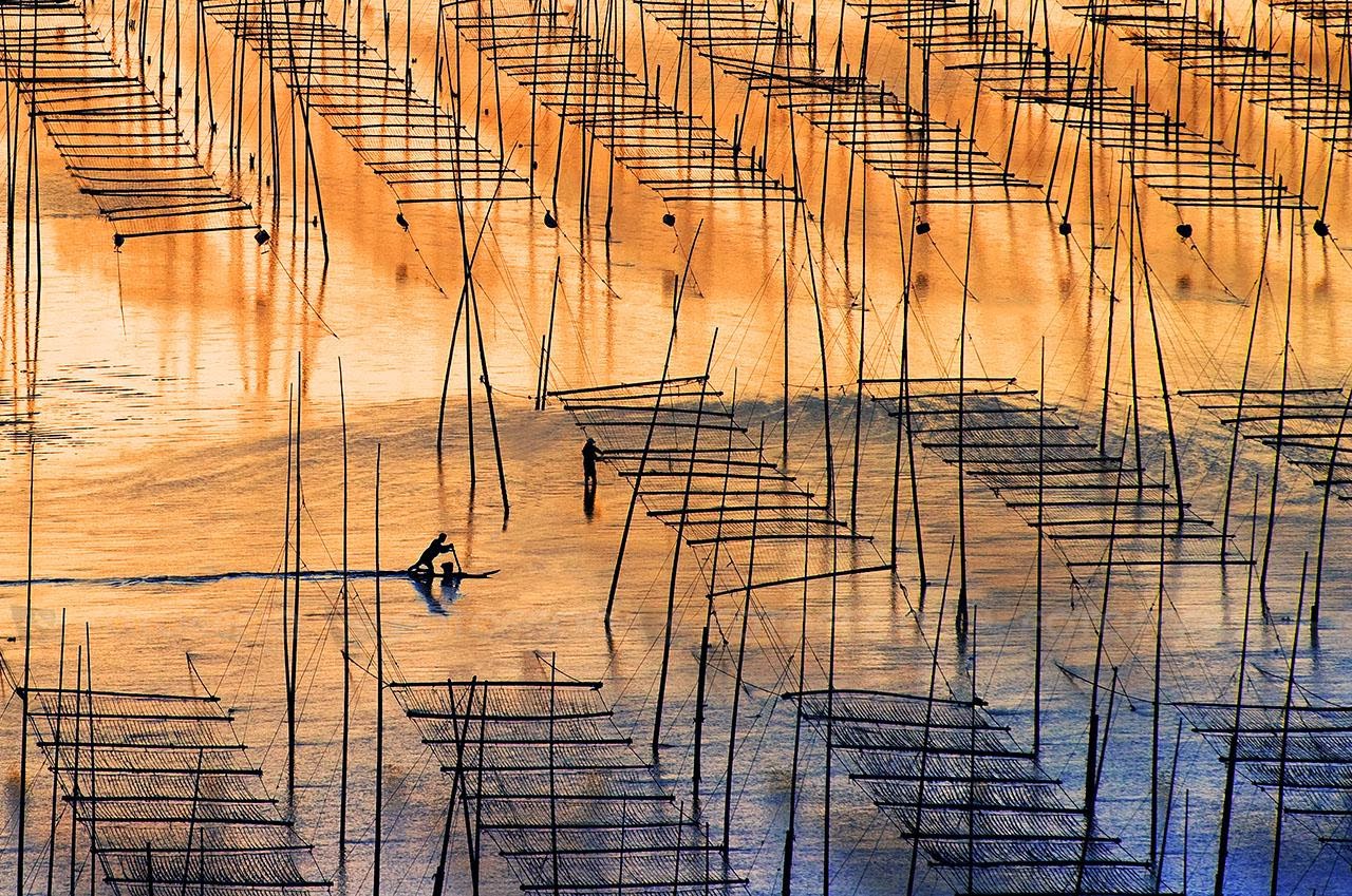 Florilège: WONG KIN-MING - PHOTOGRAPHE - CHINE