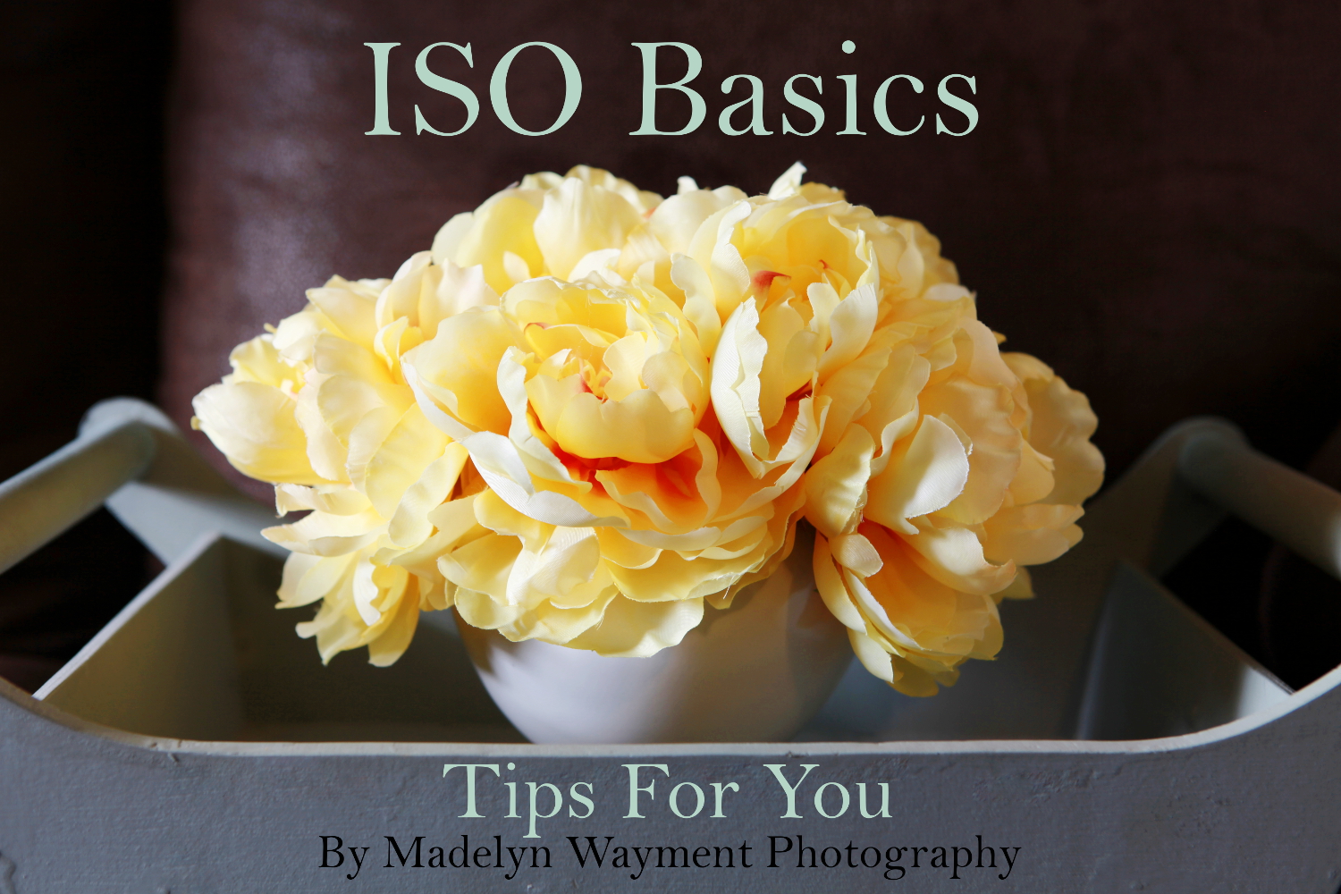 Madelyn Wayment Photography: Tips For You #1 - ISO Basics