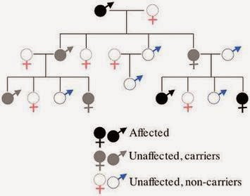 Medical publications: Prader-Willi Syndrome