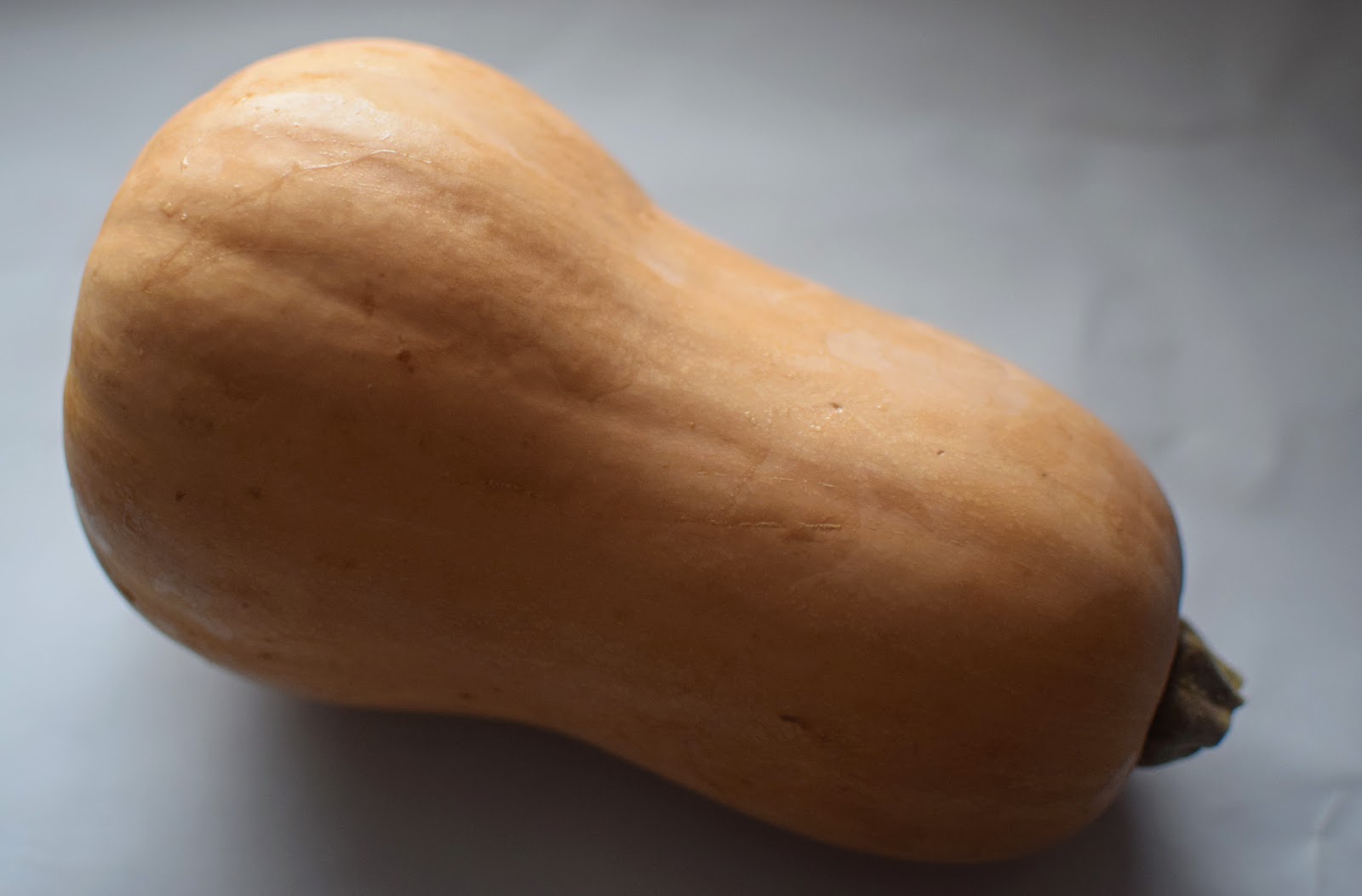 Food: Butternut Squash and Leek Nut Roast (Eating Root to Leaf: How to ...