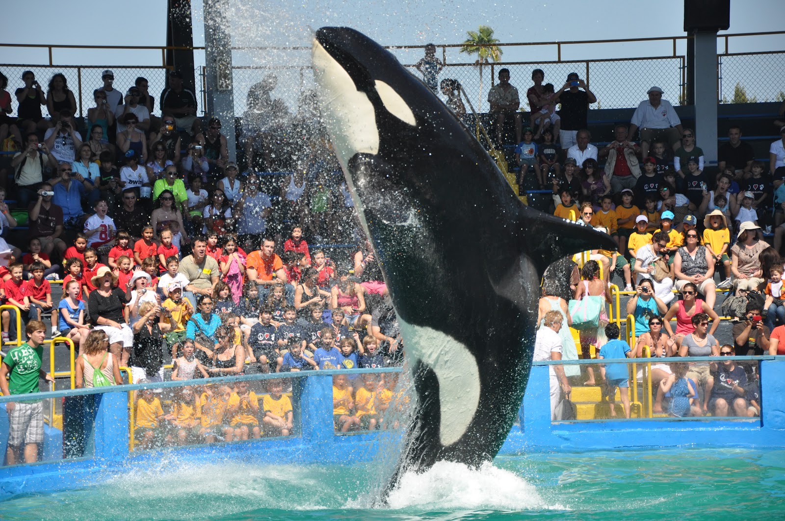 Daily Blog: Miami Sea Aquarium