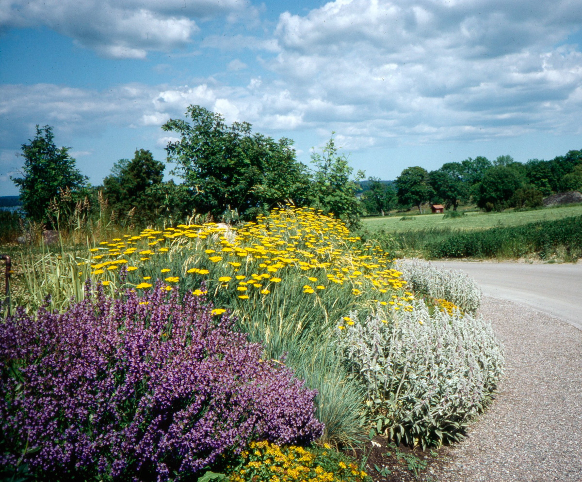 Adolfsbergs Trädgårdsförening