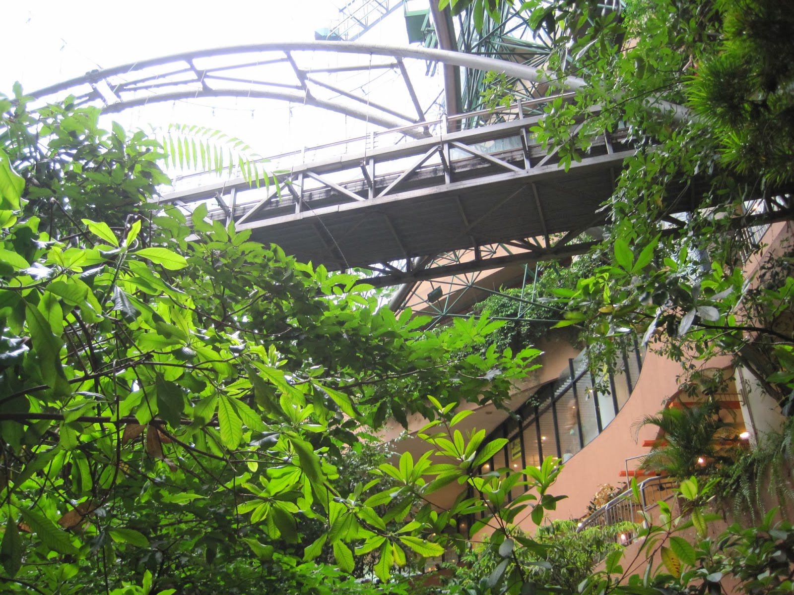 Pretty Simply Normal: A Tropical Forest in a Mall