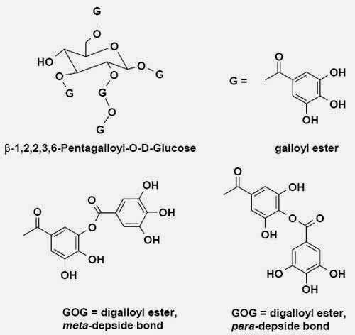 HYDROLYZABLE TANNIN STRUCTURAL CHEMISTRY