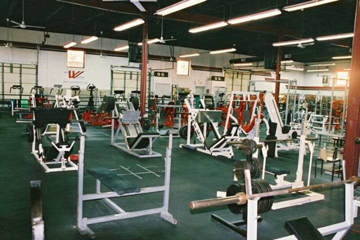 MUSCLE HUT : Body Building Tips & News