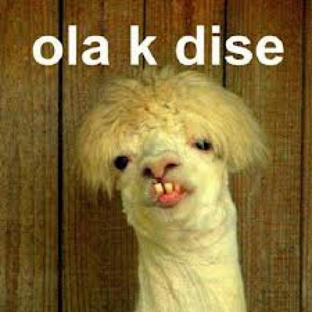 Imagenes chistosas para whatsapp, imagenes divertidas para morir de ...