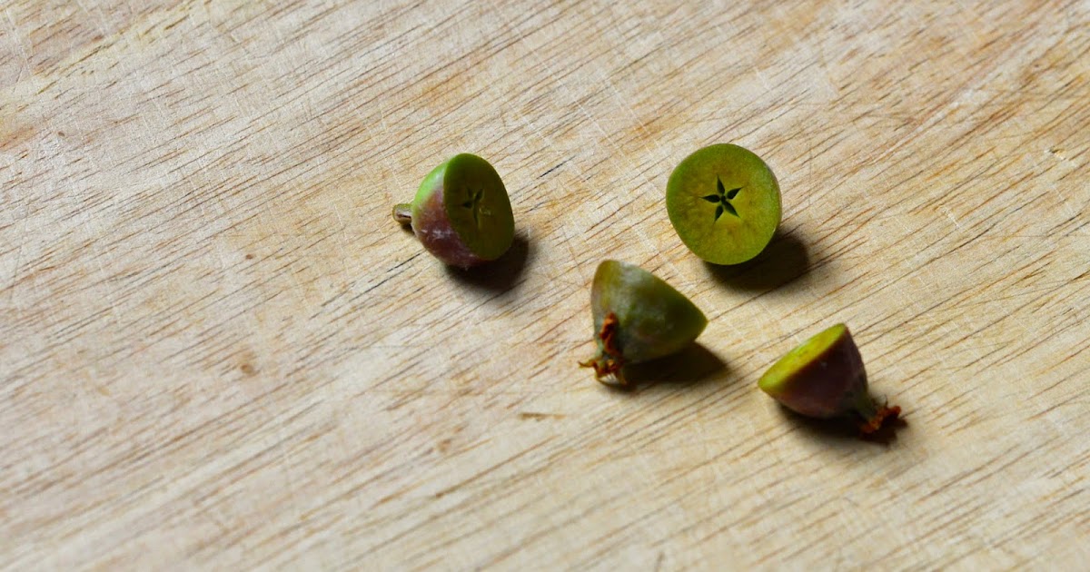 Wino sapien: forme fruste