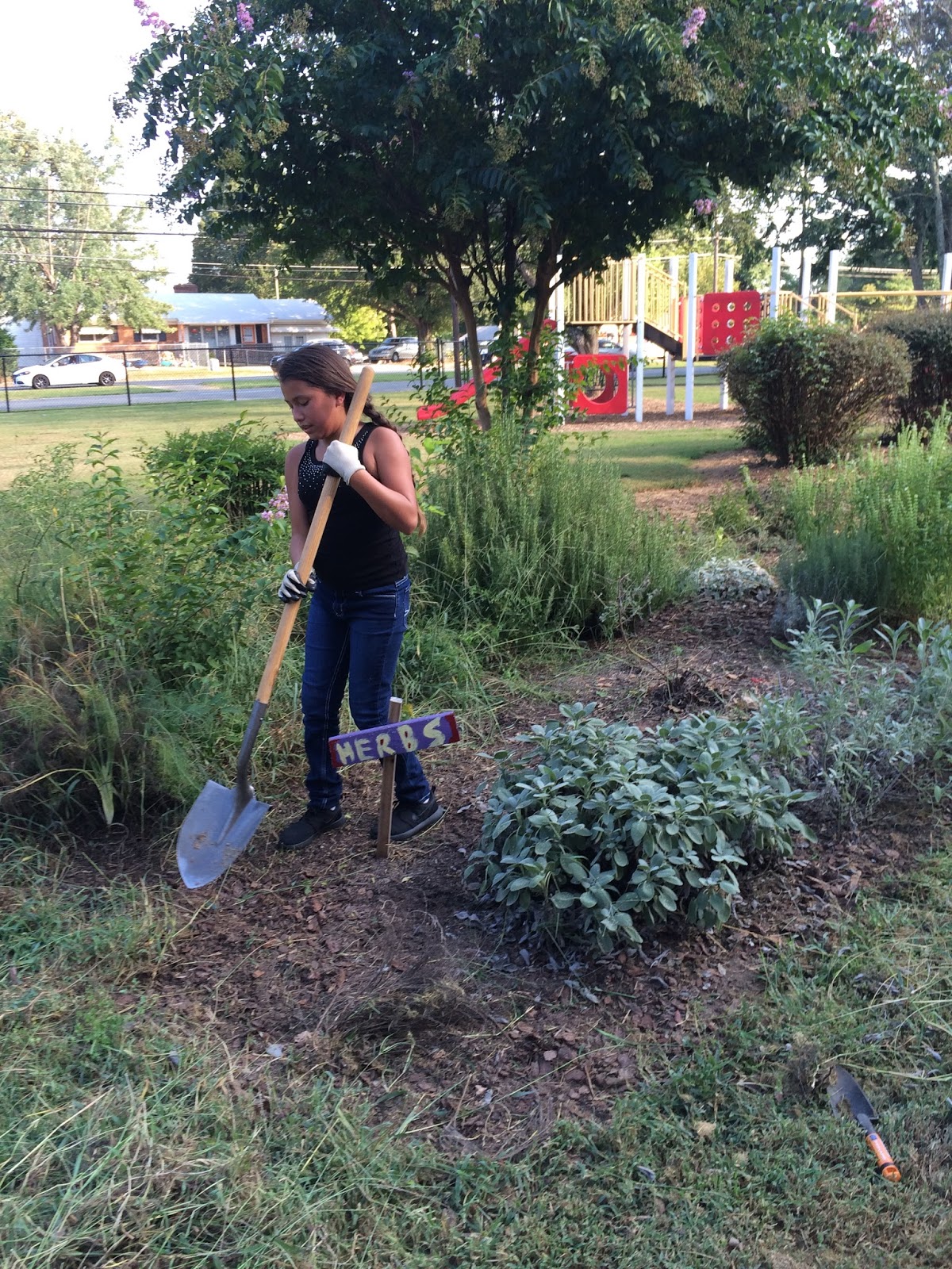 Sharing Our Guilford County School Gardens: Students at High School ...