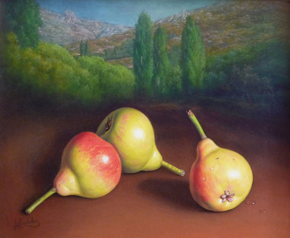 El arte es su máxima expresión : Cuadros: Bodegón y Paisaje en un solo