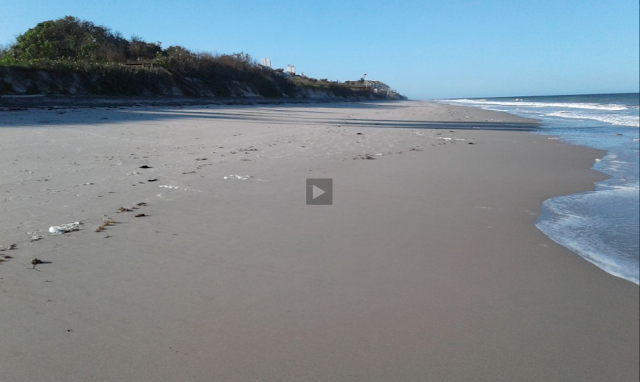 The Treasure Beaches Report Direct From Florida's Treasure Coast.: 11/7 ...