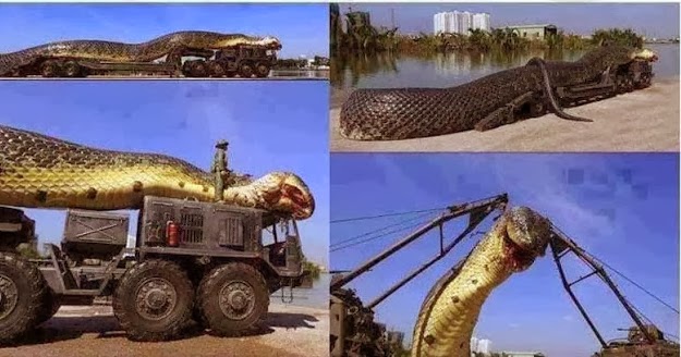 Best of: Caught largest anaconda in the world!