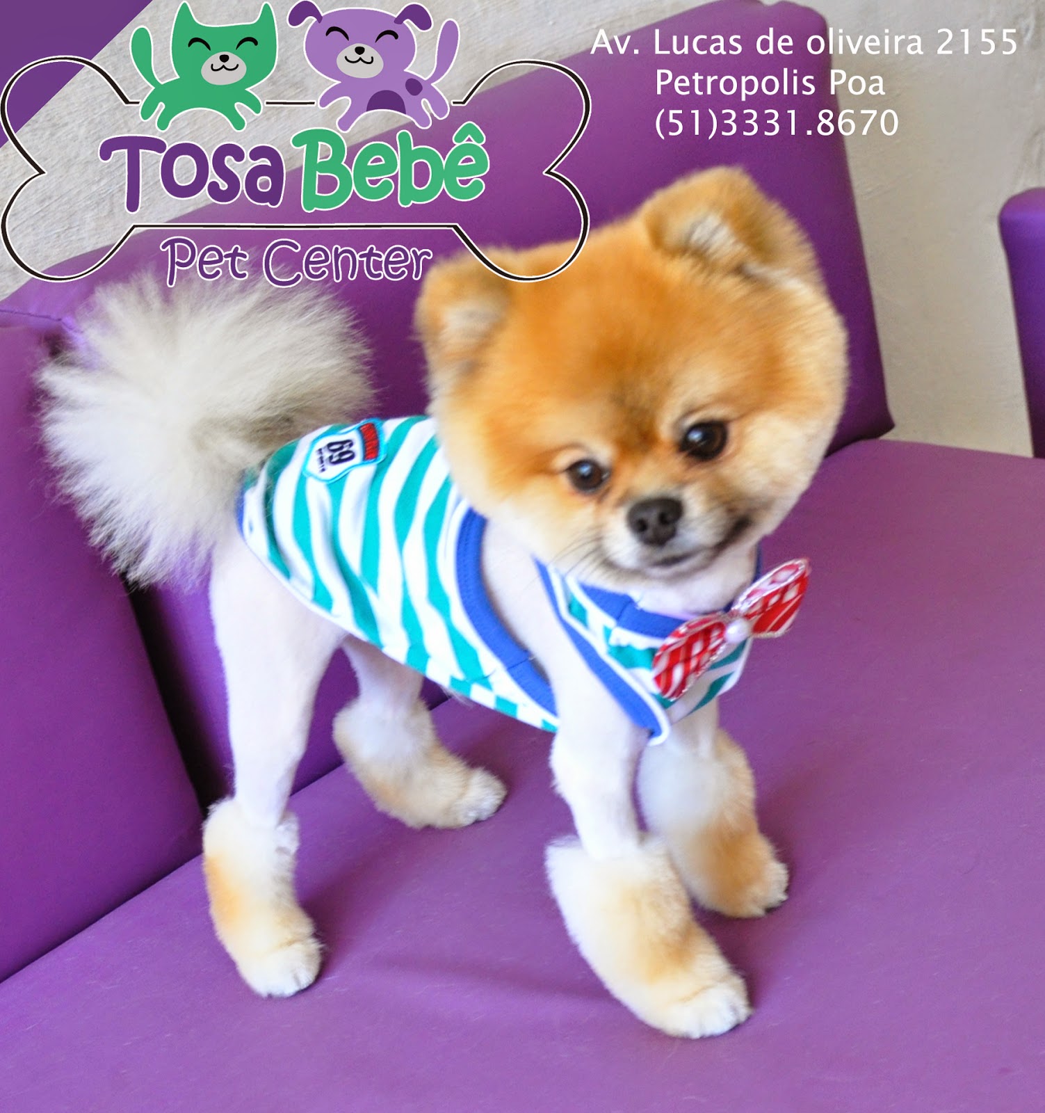 TOSA BEBÊ - TOSA VERÃO - TOSA TESOURA -TOSA PORTO ALEGRE: TOSA TESOURA ...