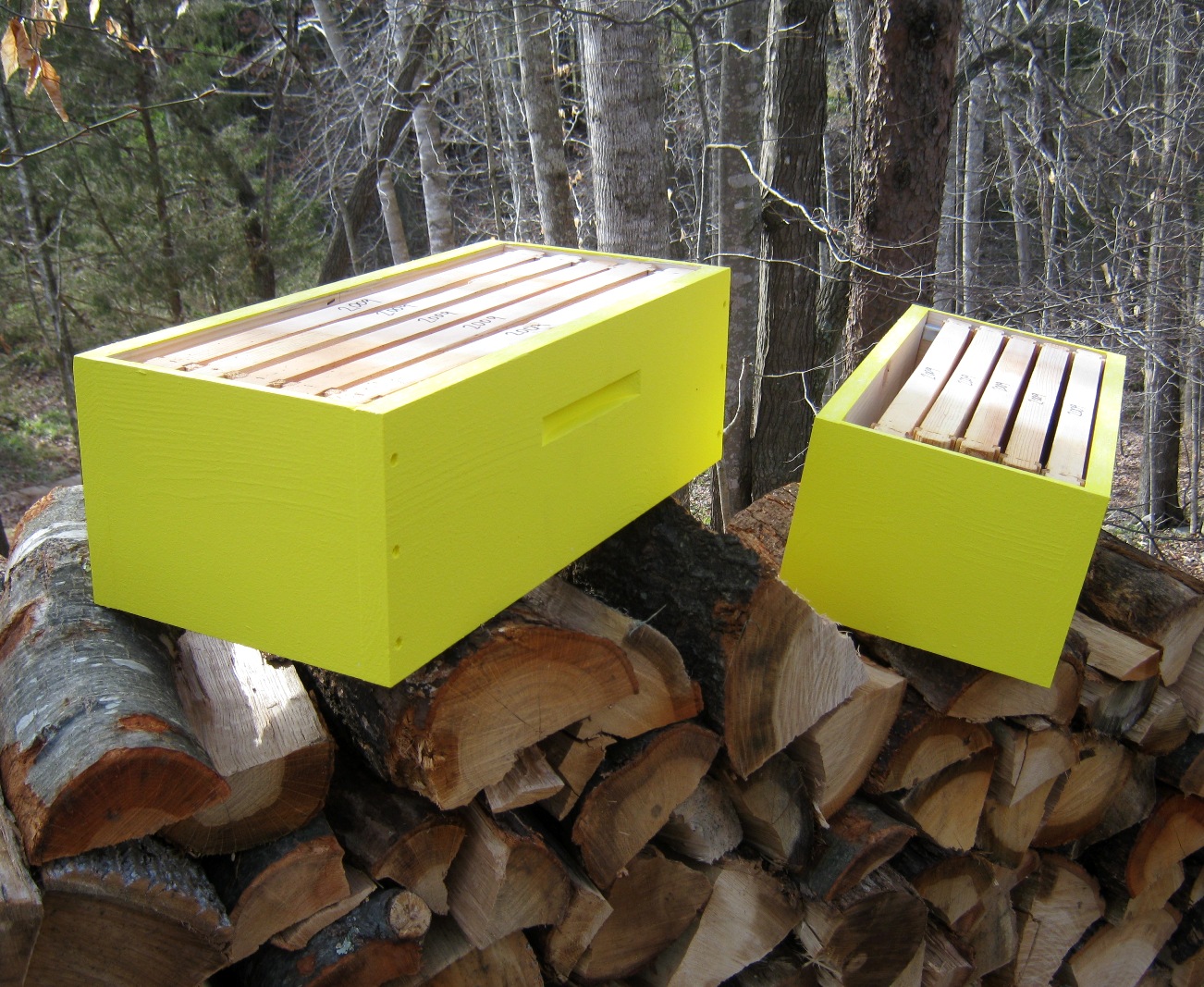 Beaver Creek Bees: Quick Peek & Brood boxes
