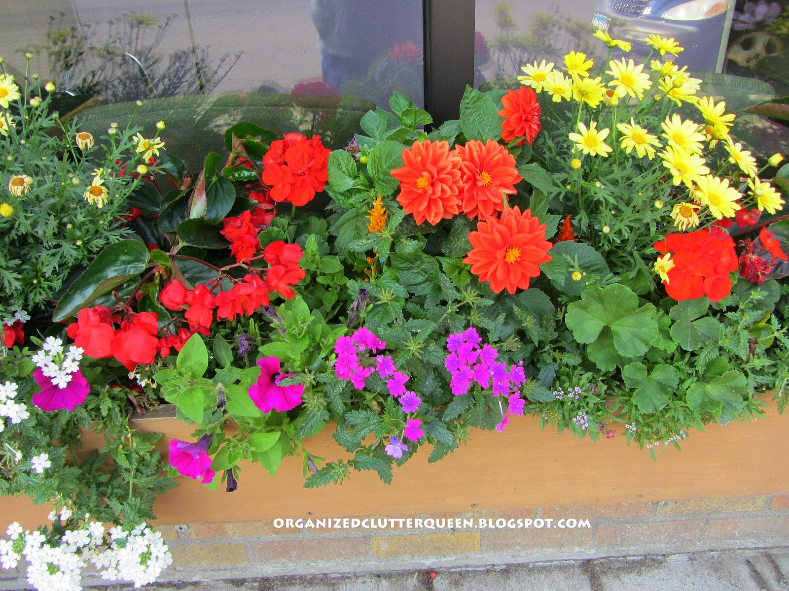 The Prettiest Window Box in Town - Organized Clutter