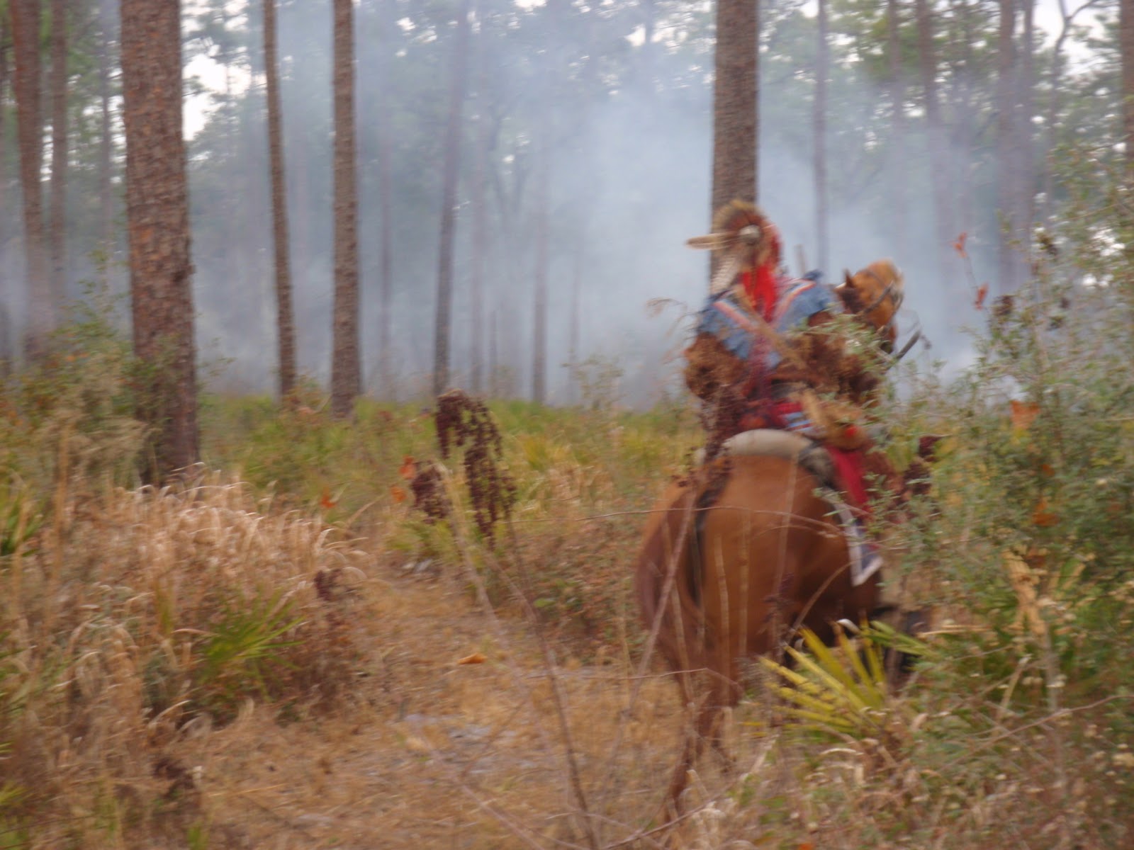 Cracker Tracks: Florida Cracker Life