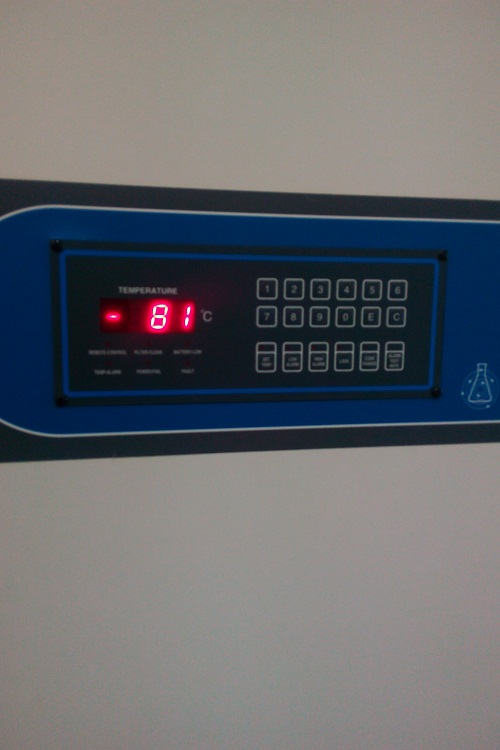 service deep freezer