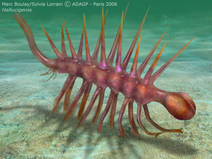 Scientific Inquiry Blog: Hallucigenia