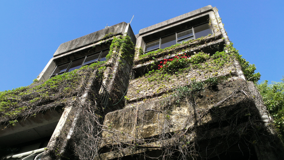 W O R K S H O P 1 1: Sirius. The Rocks, Sydney. Tao Gofers Architect 1978