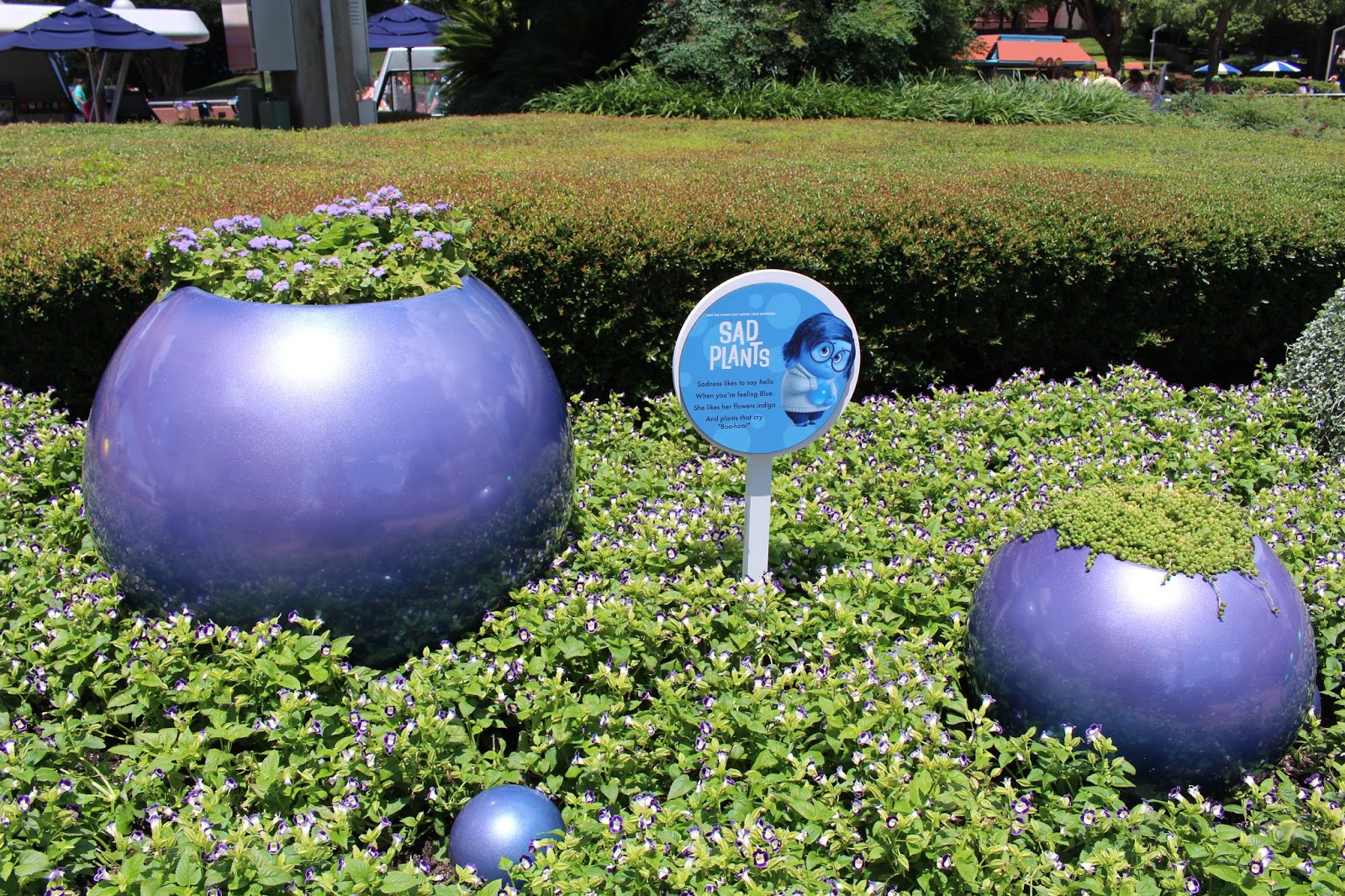 Manifesting the Magic: Inside Out Emotion Garden