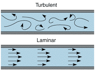 Respiratory Therapy Cave: Respiratory Anatomy and Physiology ...