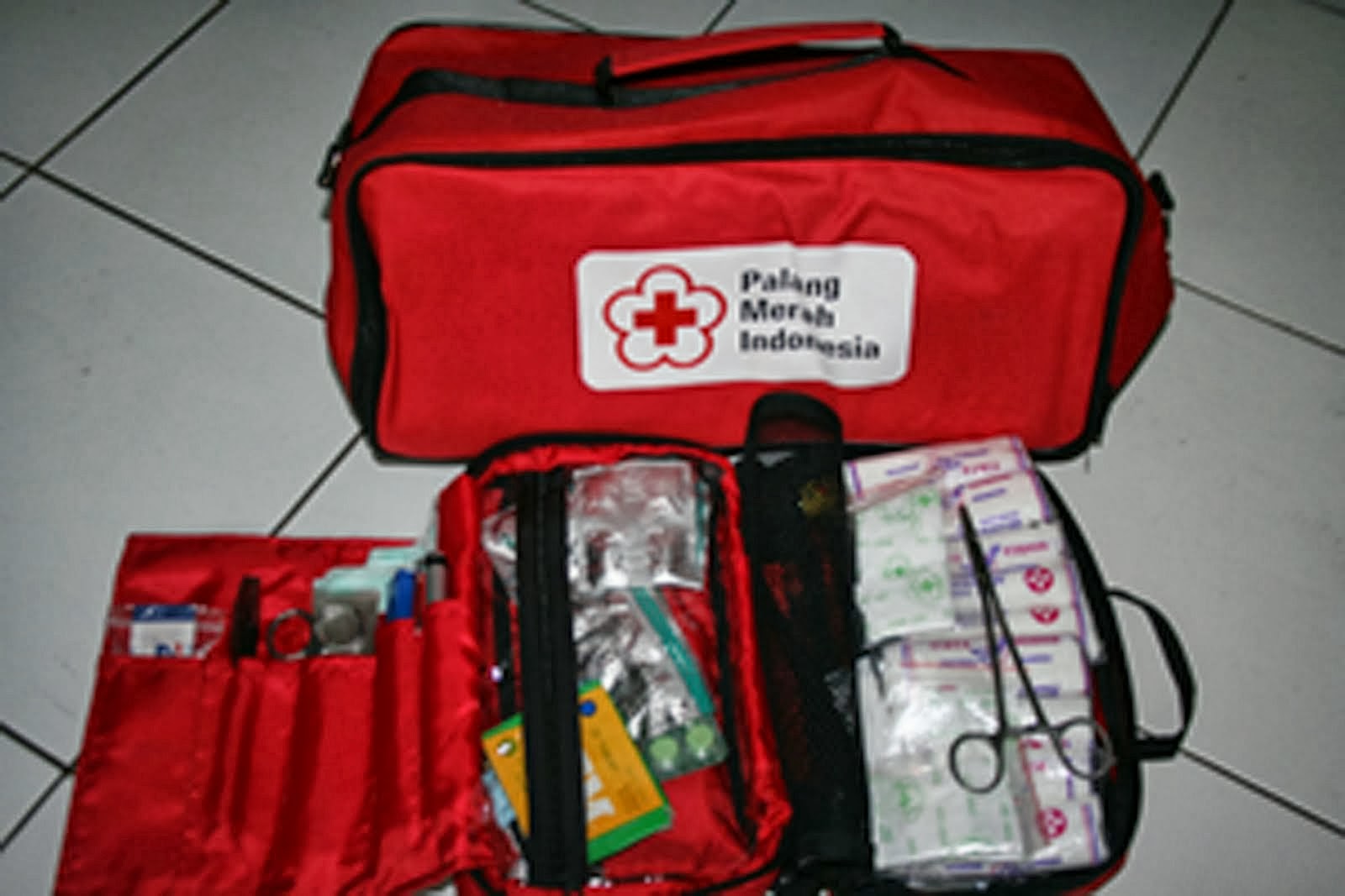 MODUL MATERI DASAR KEPALANGMERAHAN DAN PERTOLONGAN PERTAMA PMR WIRA ...