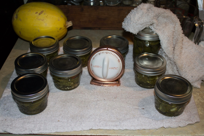 The Redneck Hippie: Canning Hot Peppers The Easy Way ~ AKA Small Batch ...