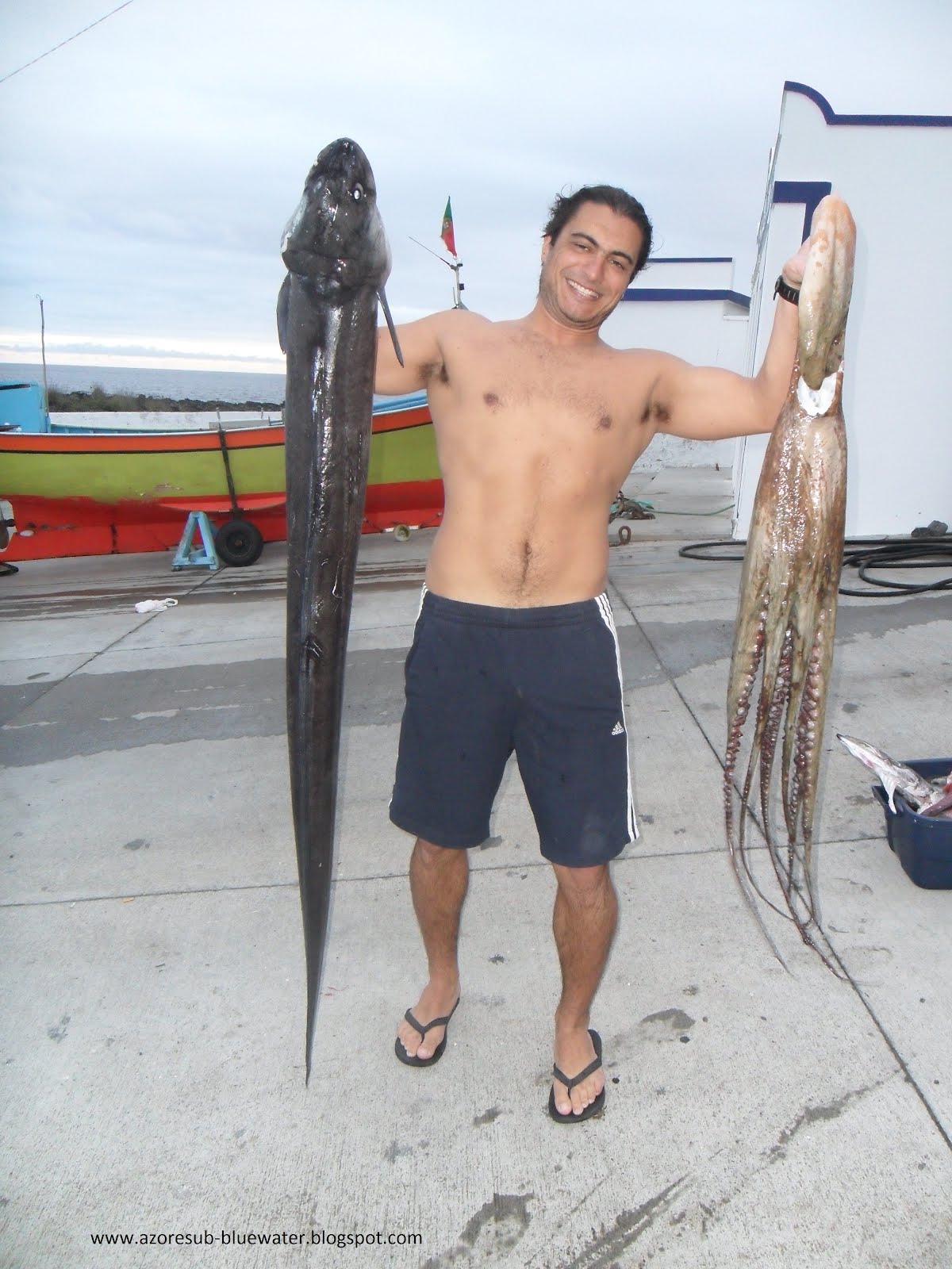 Azoresub: Safio/Congro capturado por Tiago Silva