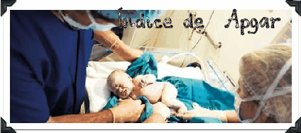 1º Bebê: O Bebê Recém-Nascido- Índice de Apgar