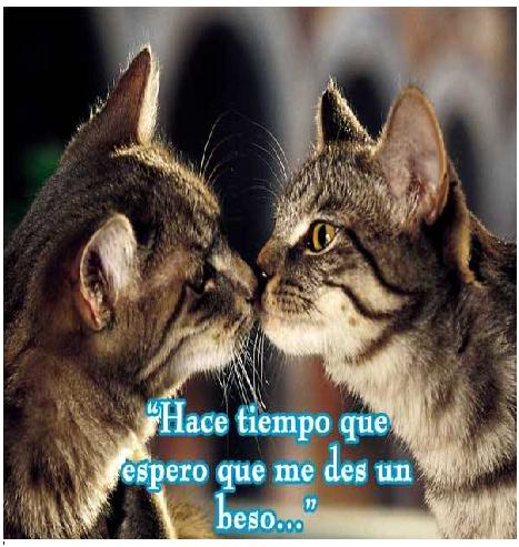 Imágenes con frases de besos