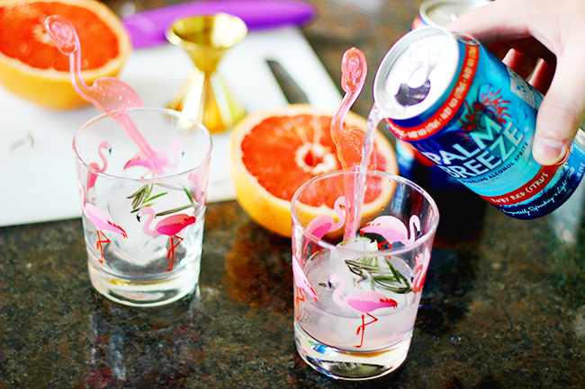 Palm Breeze Ruby Red Gin Spritz | Venus Trapped in Mars || Dallas